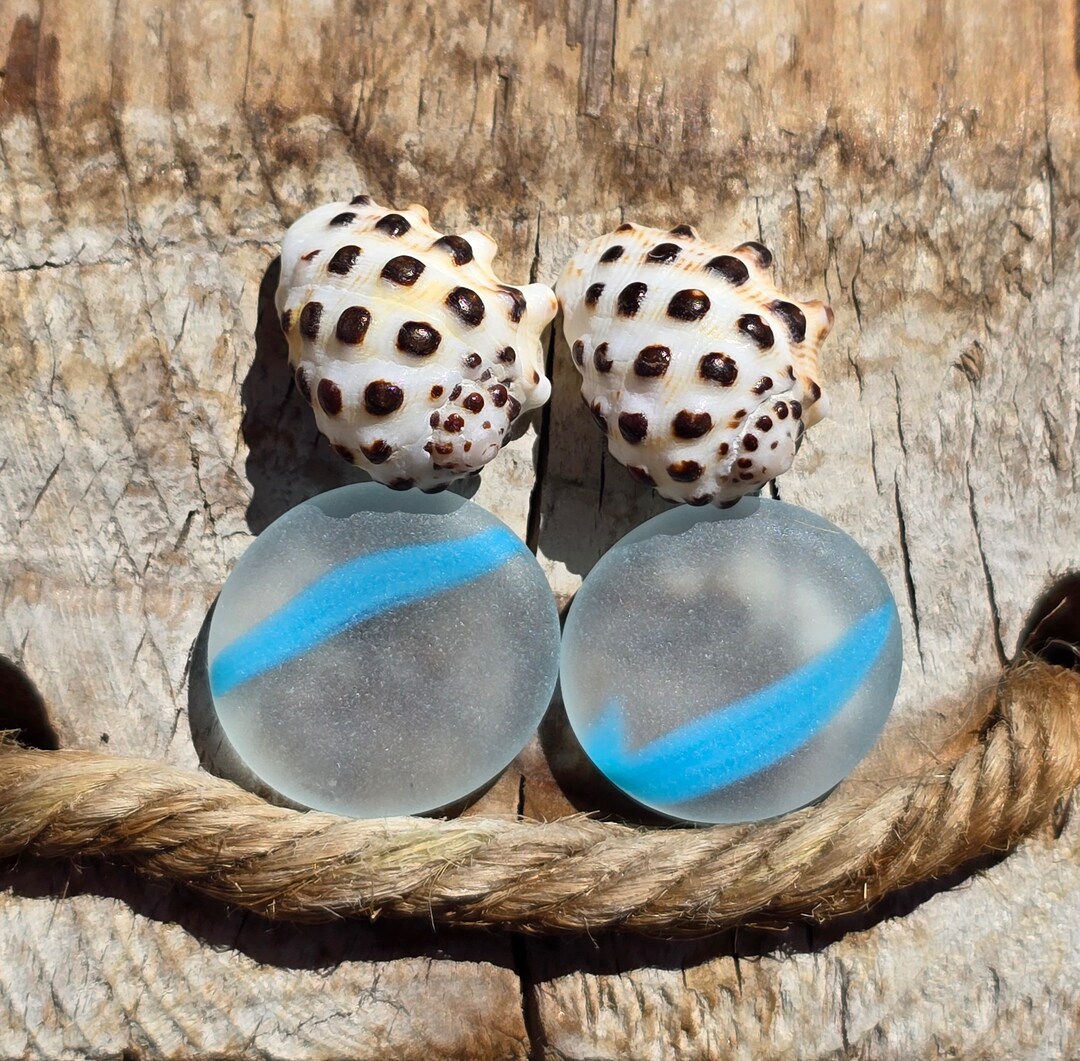Hawaiian Surf-tumbled Drupe Shells Japanese Sea Glass Ohajiki JQ Set - Etsy