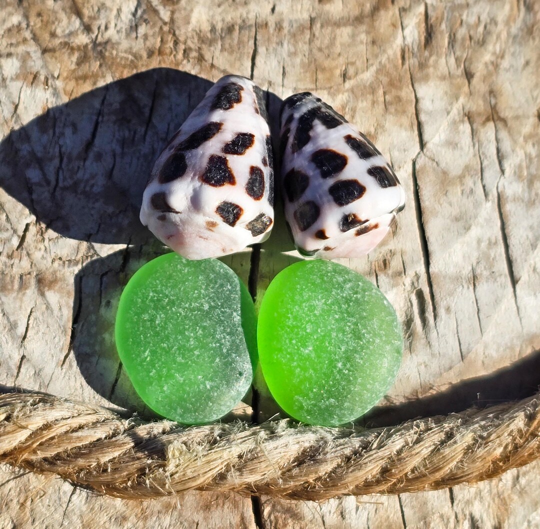 Hawaiian Baby Hebrew Cone Shells and Hawaiian Sea Glass Jewelry Making ...