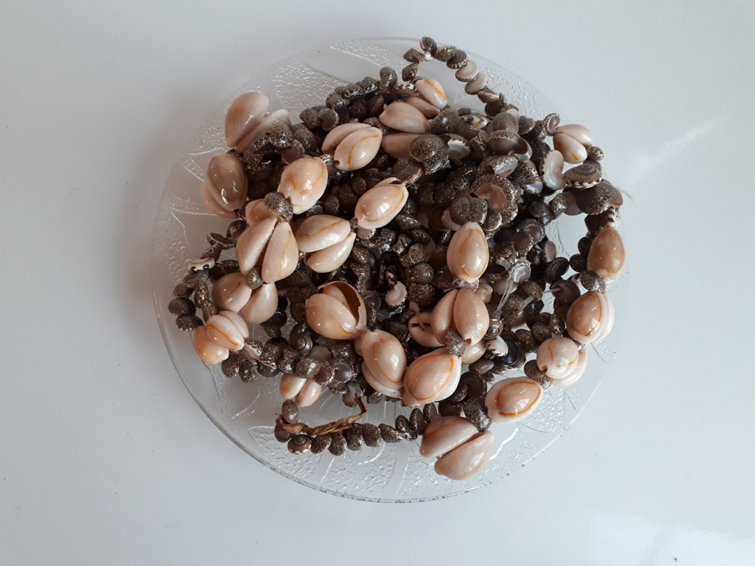 200 Gr Drilled Cowrie and Spotted Shell Beads Lot for Craft Repurpose ...
