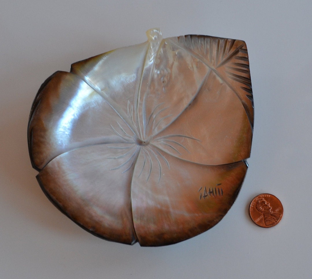 Vintage Carved Paua Abalone Shell Orchid Flower Decorative Tray or ...