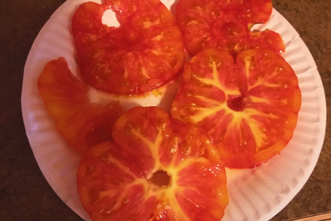 Big Hill Tomato, 35 Seeds: Delicious, Ruffled Beefsteak Tomatoes, Early ...
