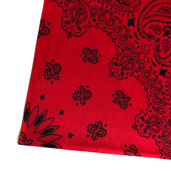 Large Paisley - Etsy