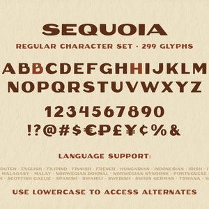 Sequoia Font - Etsy