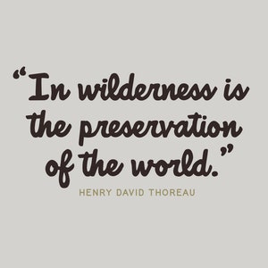 National Forest Font Duo - Etsy