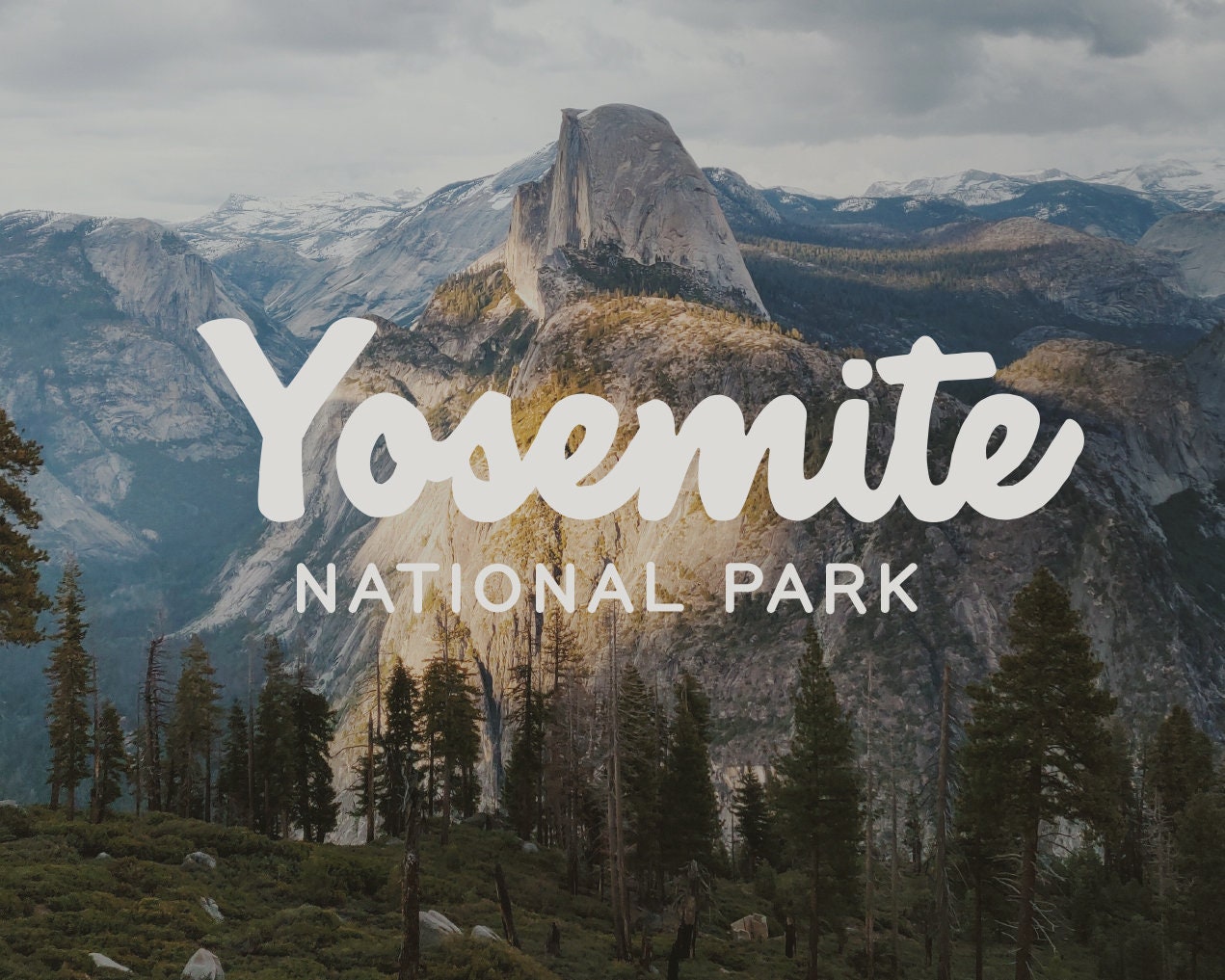 National Forest Font Duo - Etsy