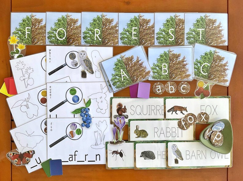 Forest Notebook complete project. Dosgorriones Mitrebol, lower case ...