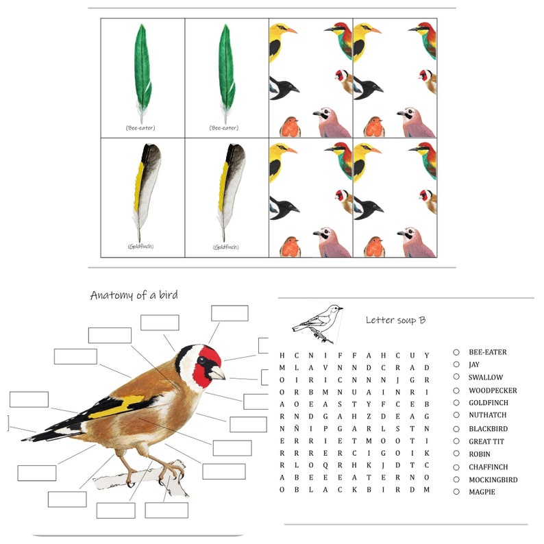 15 Birds Unit Study - Etsy