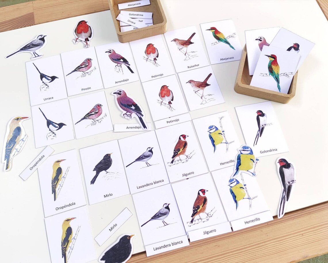 15 Birds Unit Study - Etsy