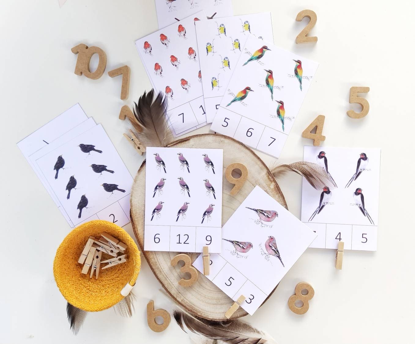 15 Birds Unit Study - Etsy