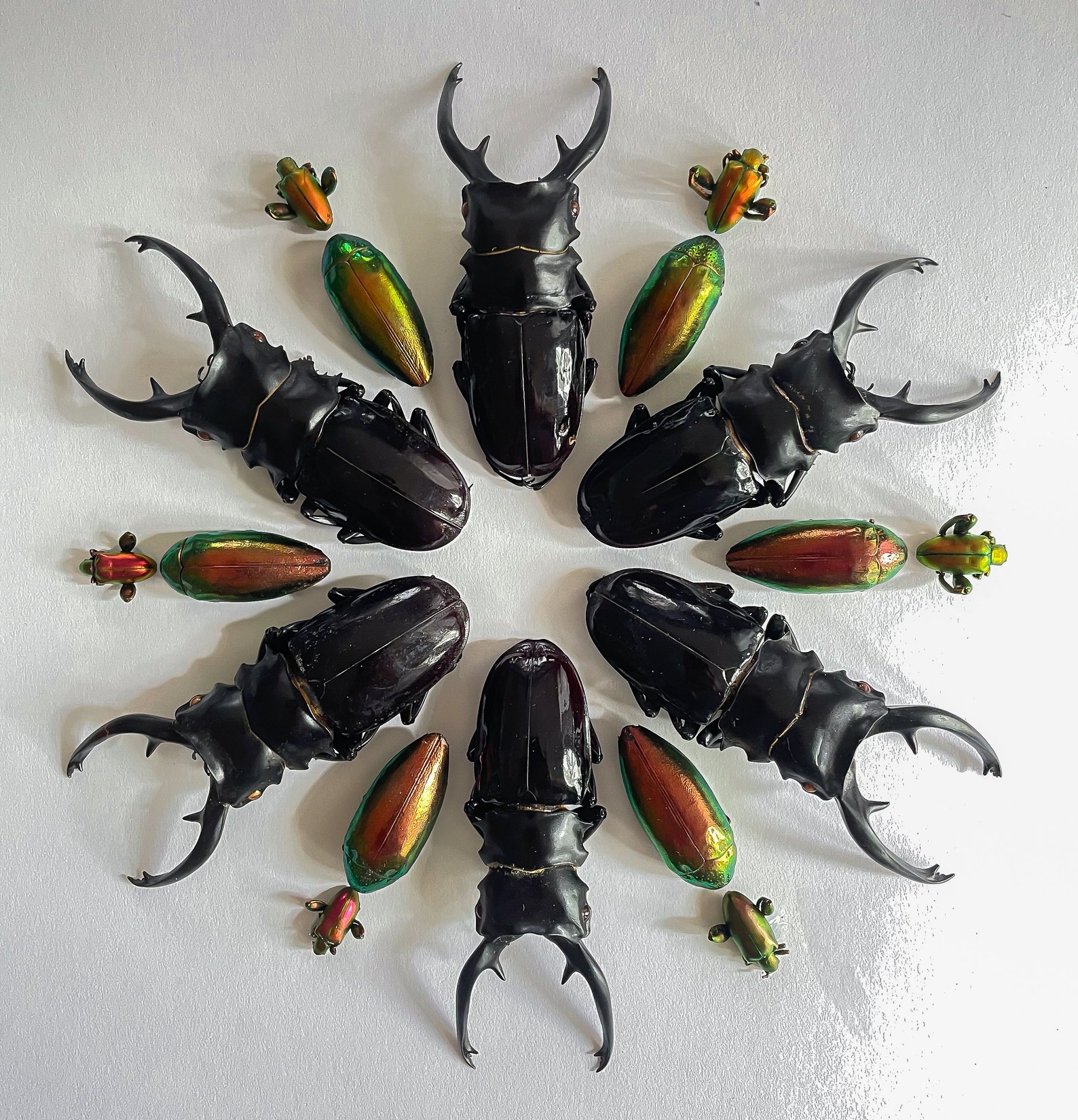 Prowess Mandala / Odontolabis Dalmani / Sternocera Ruficornis - Etsy