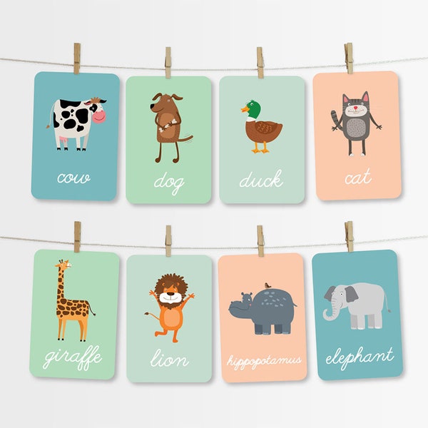 Animal Flash Cards - Etsy