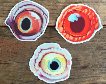 Bird Eye Sticker - Etsy