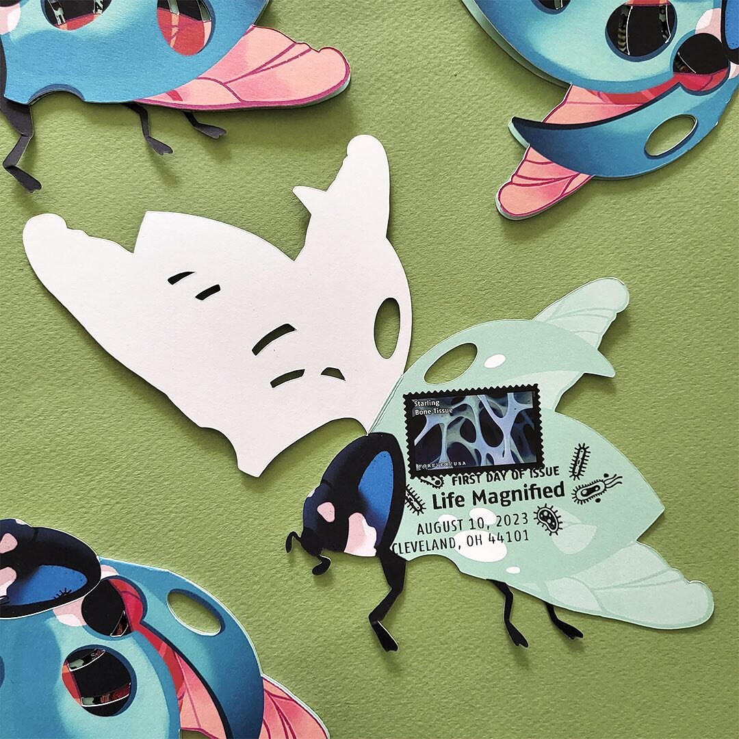 Life Magnified Maxicard Die-cut Greeting Card - Etsy