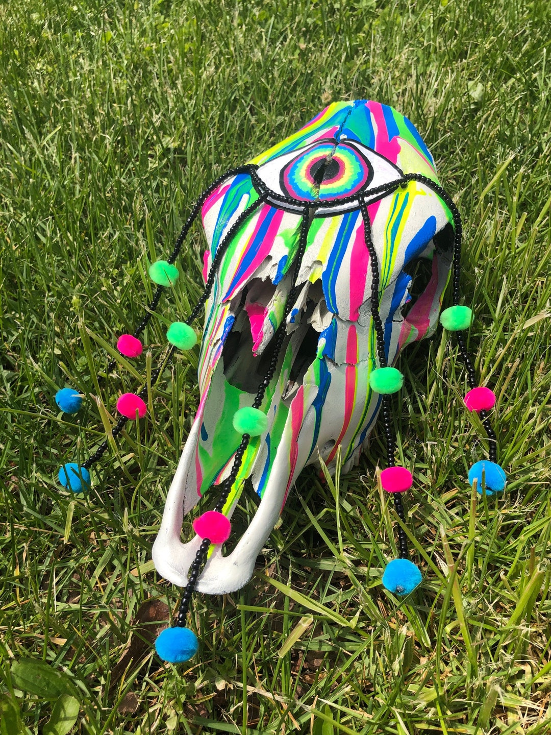 Small Real Cow Skull Eye With Long Lashes Glow in the Dark and ...