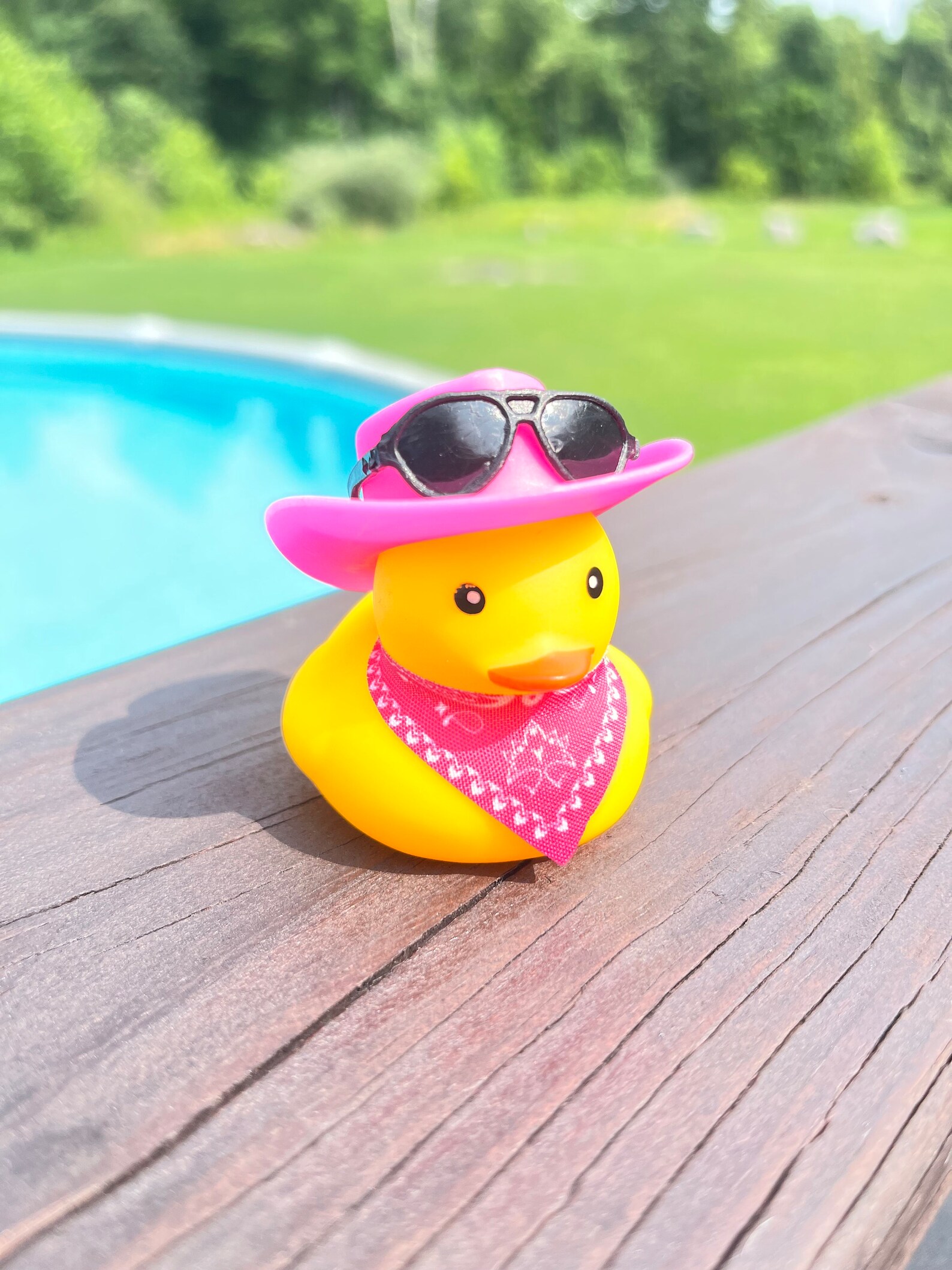 Cowboy Ducks | Cowgirl Ducks - Etsy