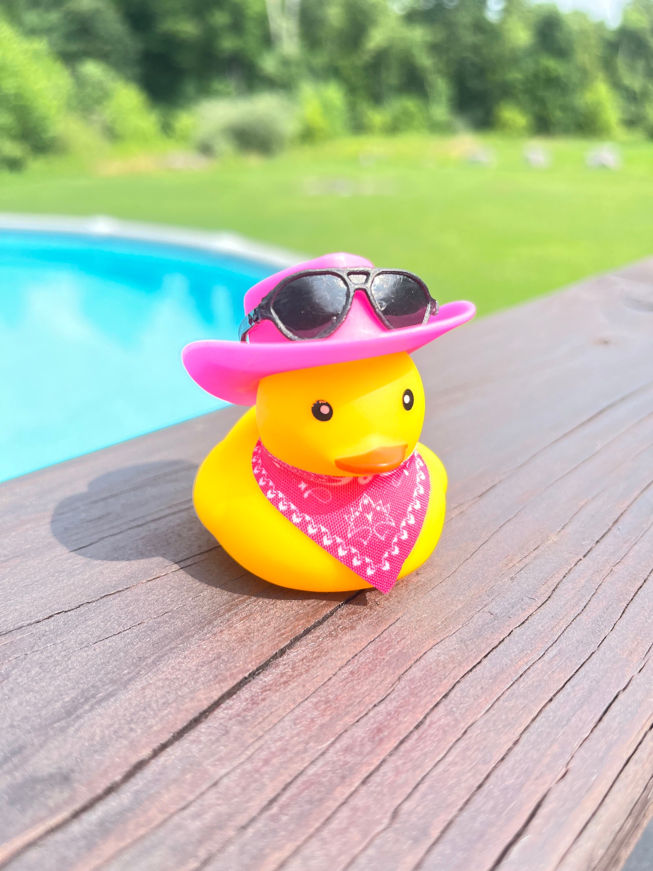 Cowboy Ducks | Cowgirl Ducks - Etsy