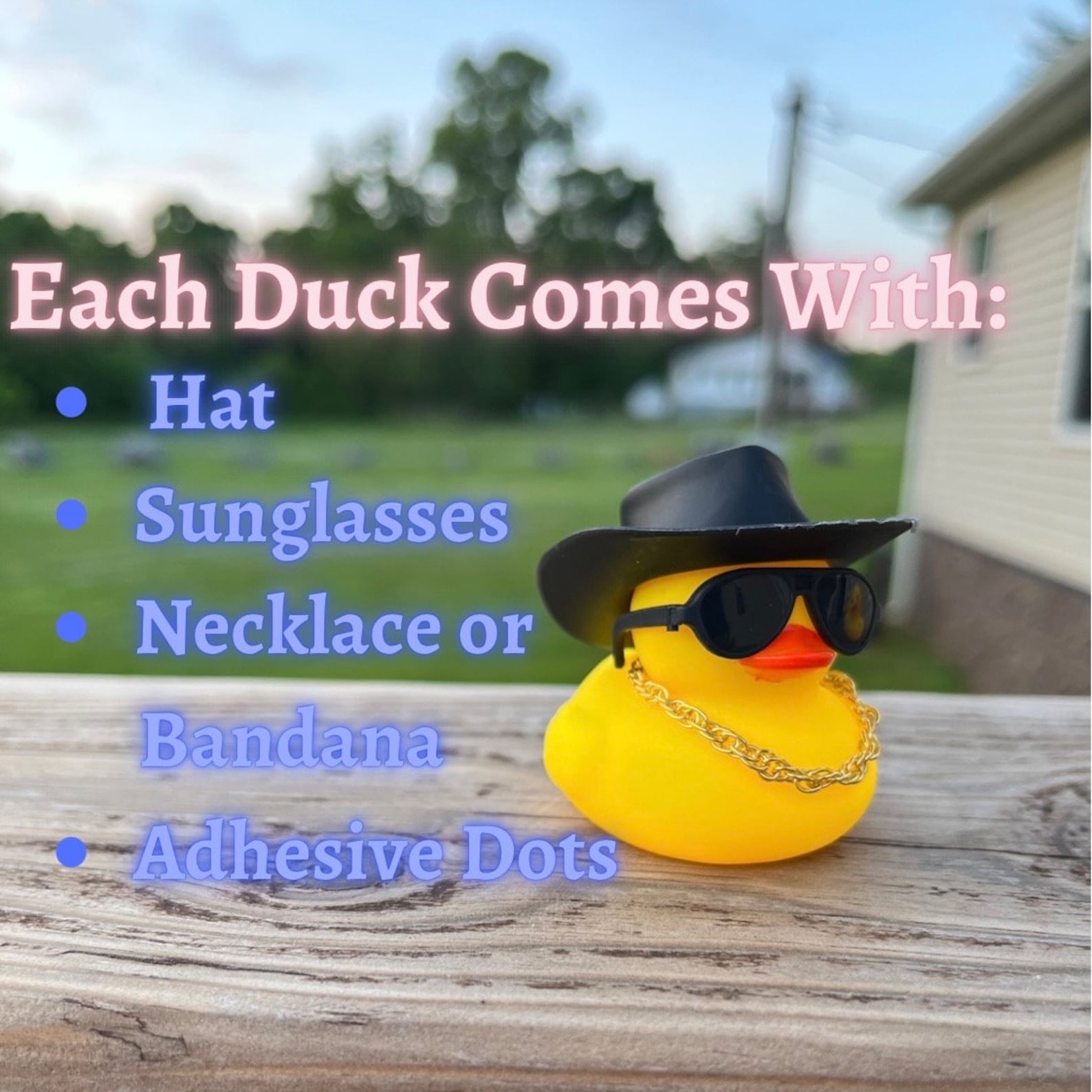 Cowboy Ducks | Cowgirl Ducks - Etsy
