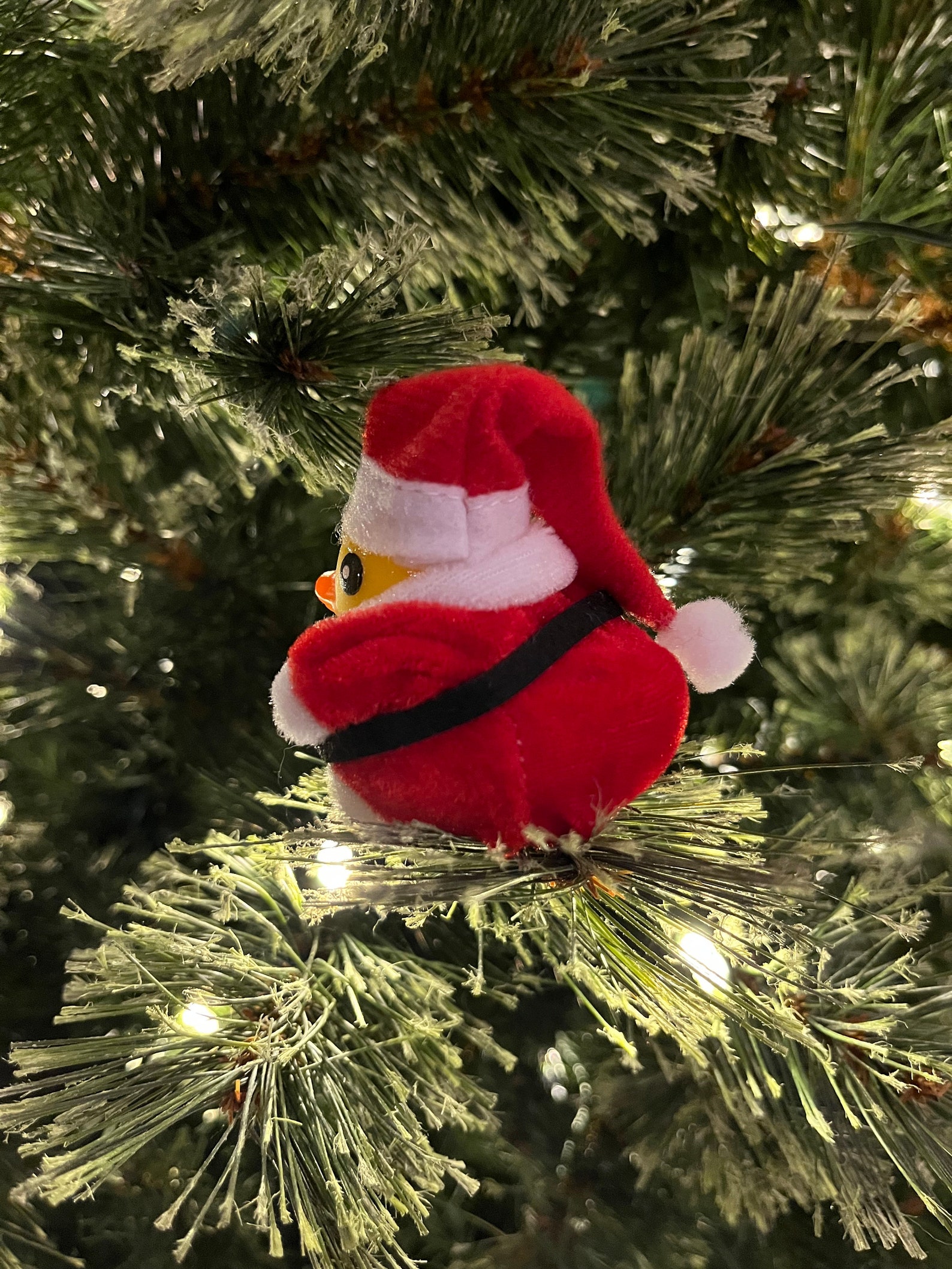 Santa Duck | Santa Suit Duck - Etsy