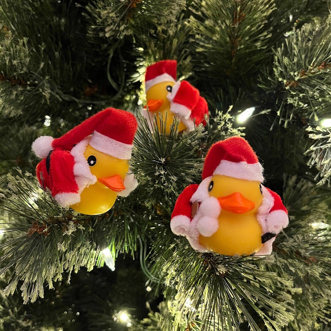 Santa Duck | Santa Suit Duck - Etsy