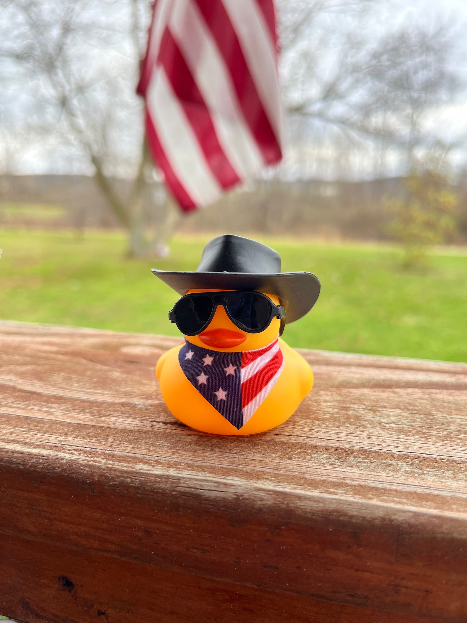 Cowboy Ducks Cowgirl Ducks - Etsy