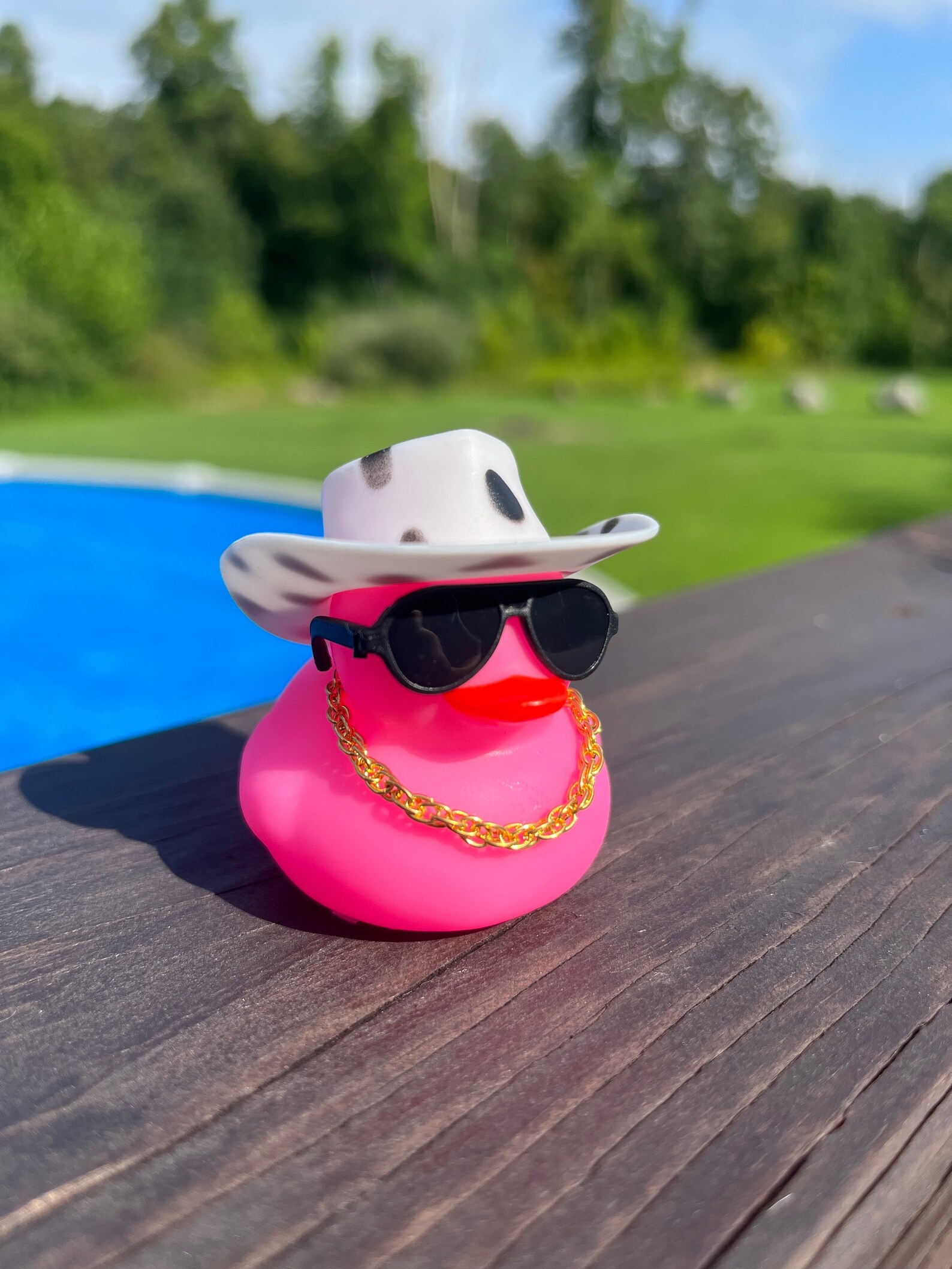 Cowboy Ducks | Cowgirl Ducks - Etsy