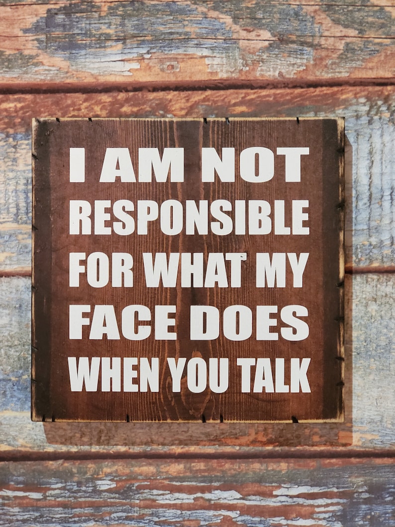 Sarcastic Shelf Sitter Sign Hilarious Office Desk Signs - Etsy