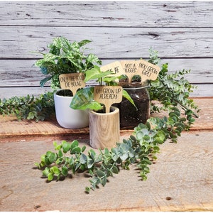 Funny Plant Stakes Sayings/ 15 Different SVG Sayings for Plant Garden ...