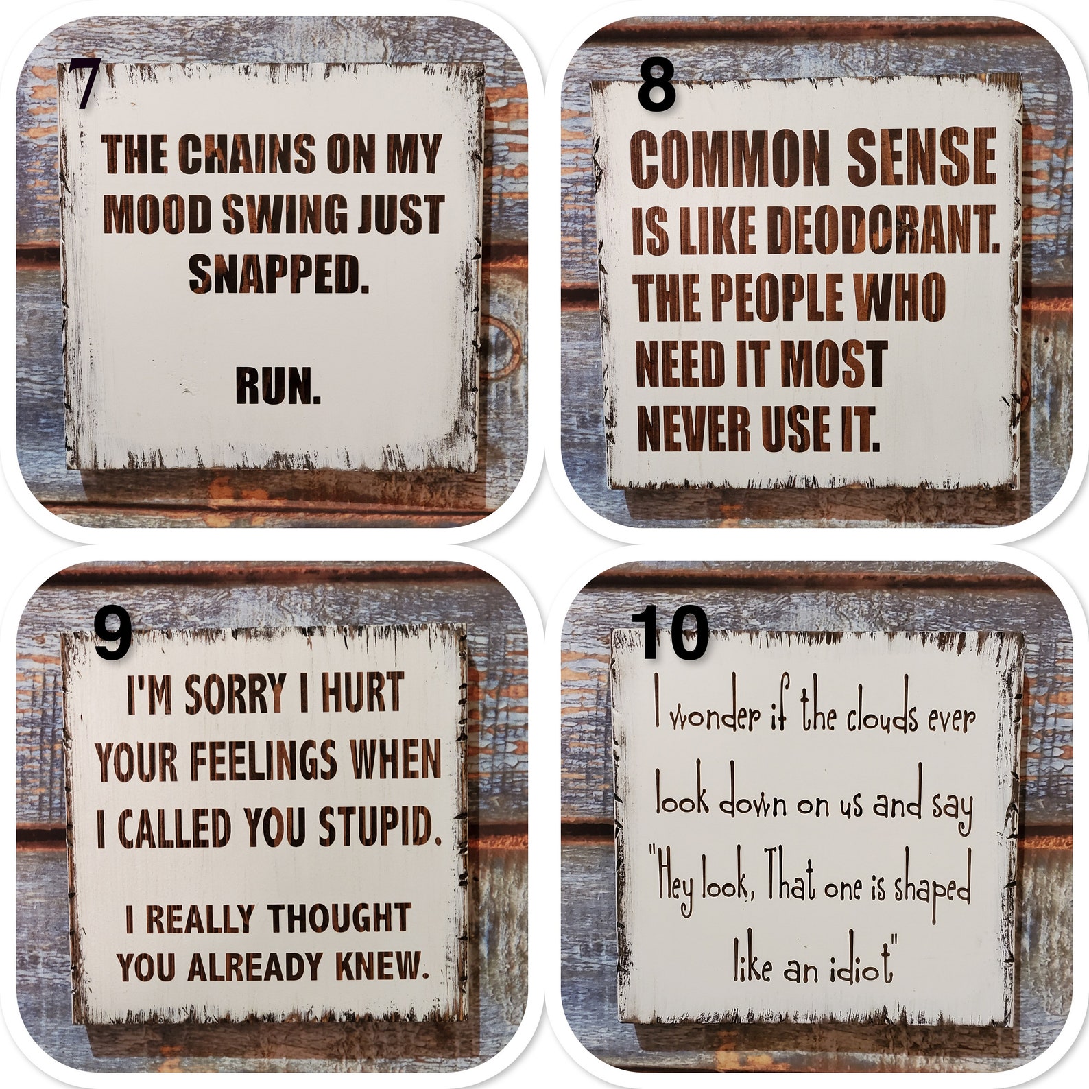 Sarcastic Shelf Sitter Sign, Hilarious Office Desk Signs, Co-worker ...