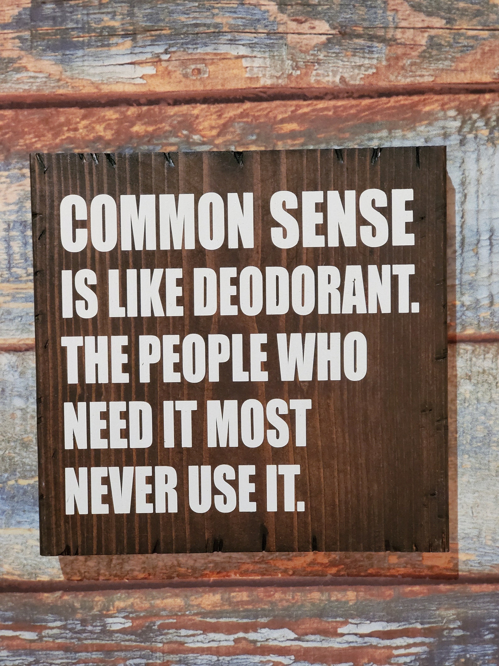 Sarcastic Shelf Sitter Sign, Hilarious Office Desk Signs, Co-worker ...