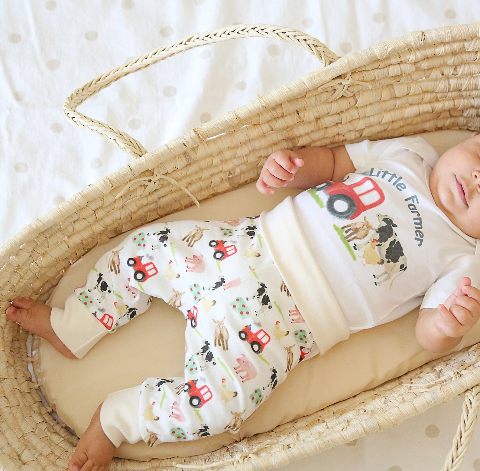 Organic Baby Gift Basket Organic Baby Clothes Farm Animals | Etsy