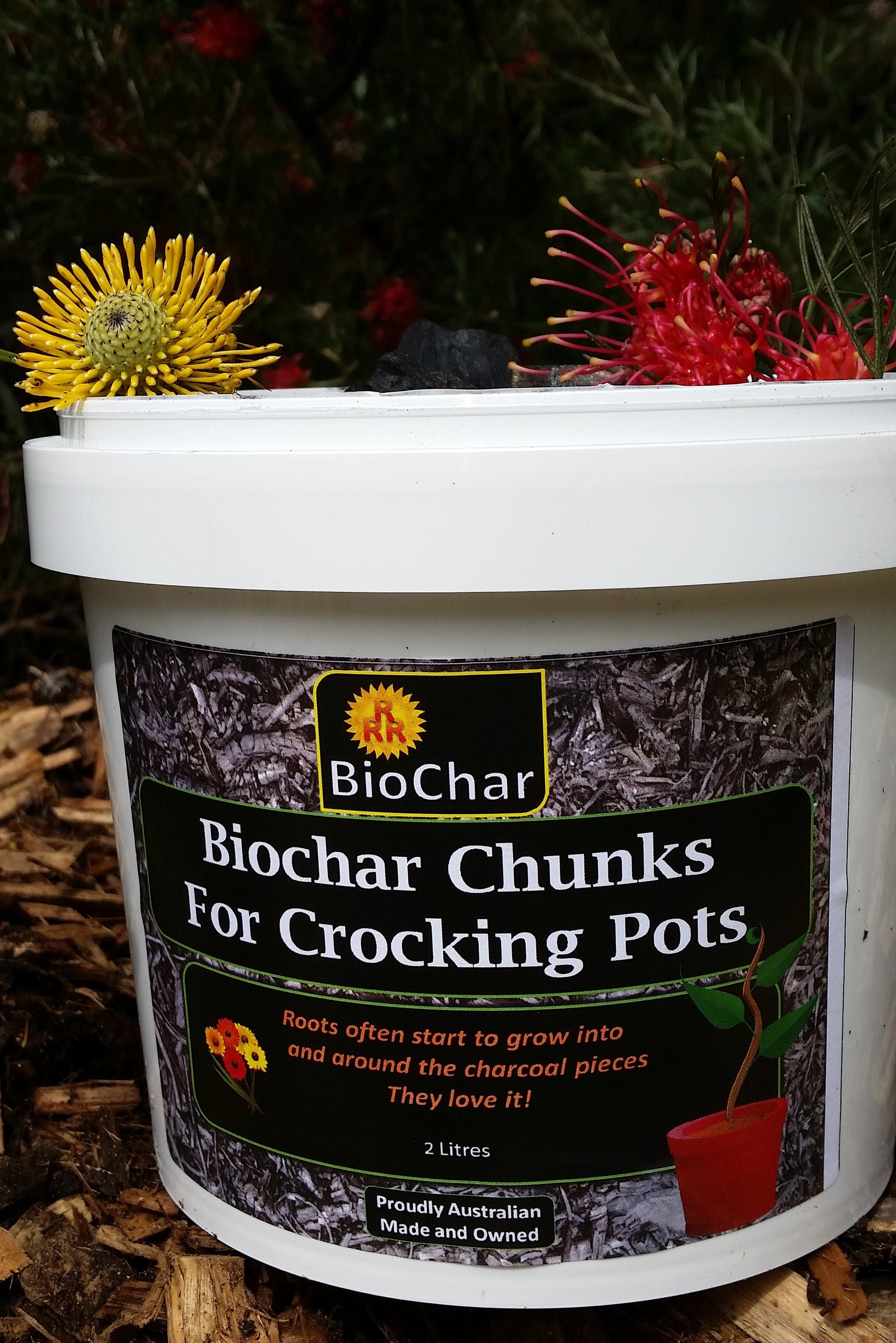 Biochar Chunks for Crocking Garden Pots ( Free Postage - Australia ...
