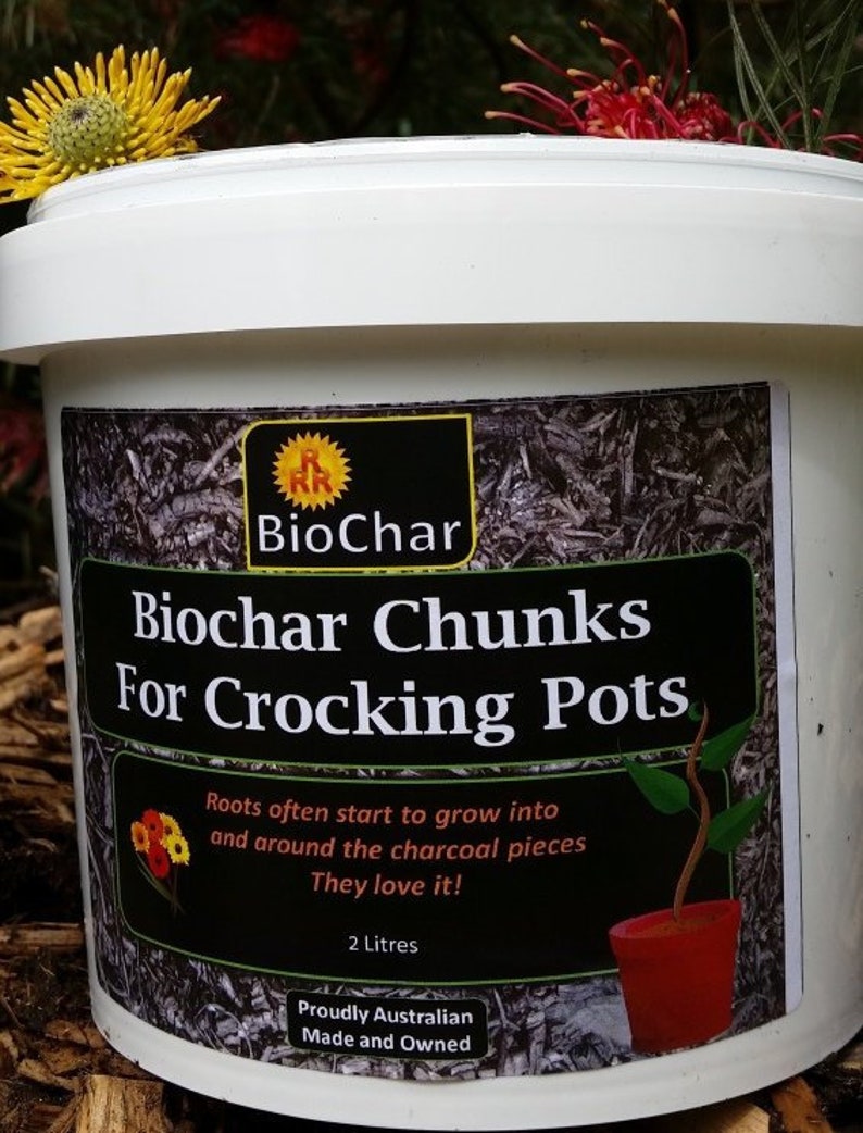 Biochar Chunks for Crocking Garden Pots Free Postage Australia - Etsy