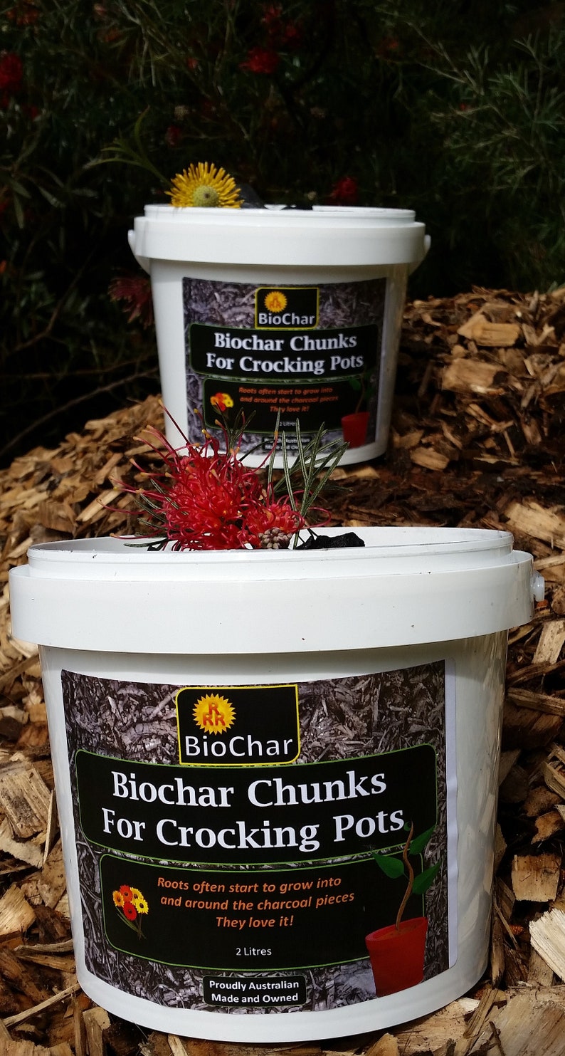 Biochar Chunks for Crocking Garden Pots Free Postage | Etsy