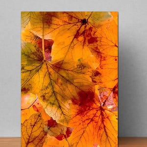 Abstract Fall Leaves Note Cards - Set of 8 Blank 5x7 Autumn Stationery ...