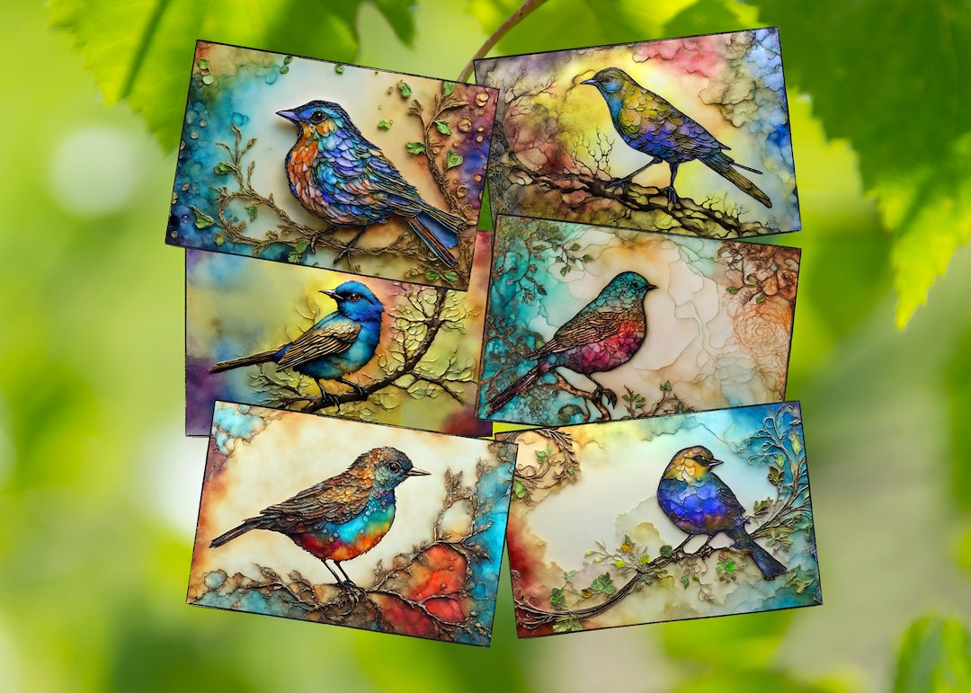 Alcohol Ink Bird Note Cards, Handmade Notecard Assortment, Set of 6 ...