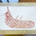 Art in Calligraphy - Etsy