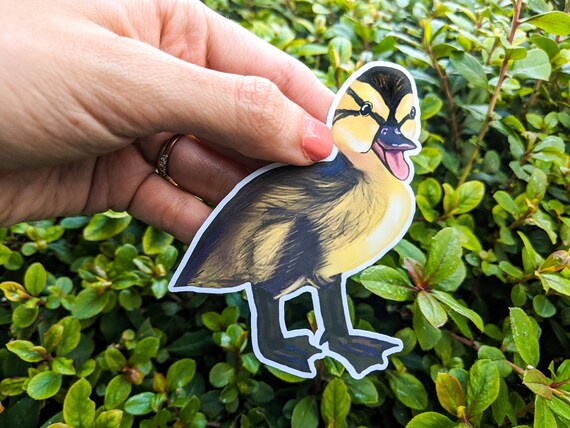 Happy Baby Duck Mallard Duckling Vinyl Matte Finish Stickers - Etsy