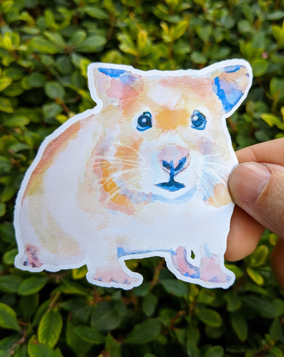 Colorful Golden Teddy Pet Hamster Vinyl Watercolor Sticker Matte Finish ...