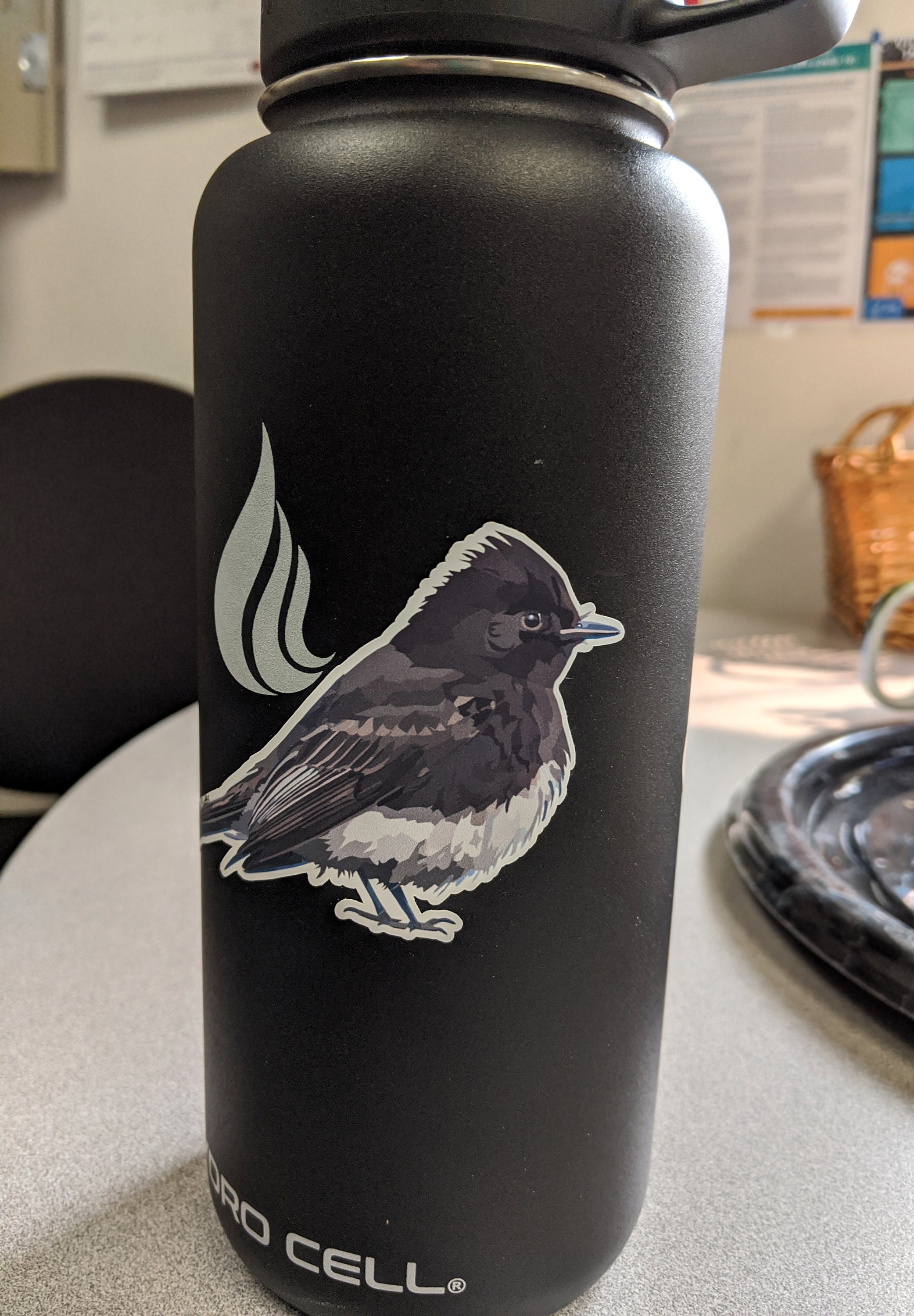 Black Phoebe Stickers Flycatcher Stickers Black Phoebe Bird | Etsy