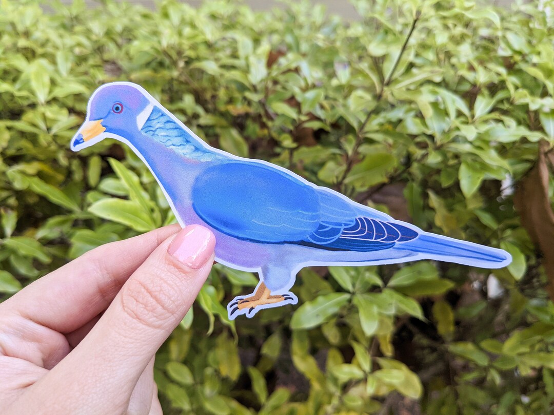 Band Tailed Pigeon Bird Lovers Colorful Matte Finish Vinyl Stickers ...