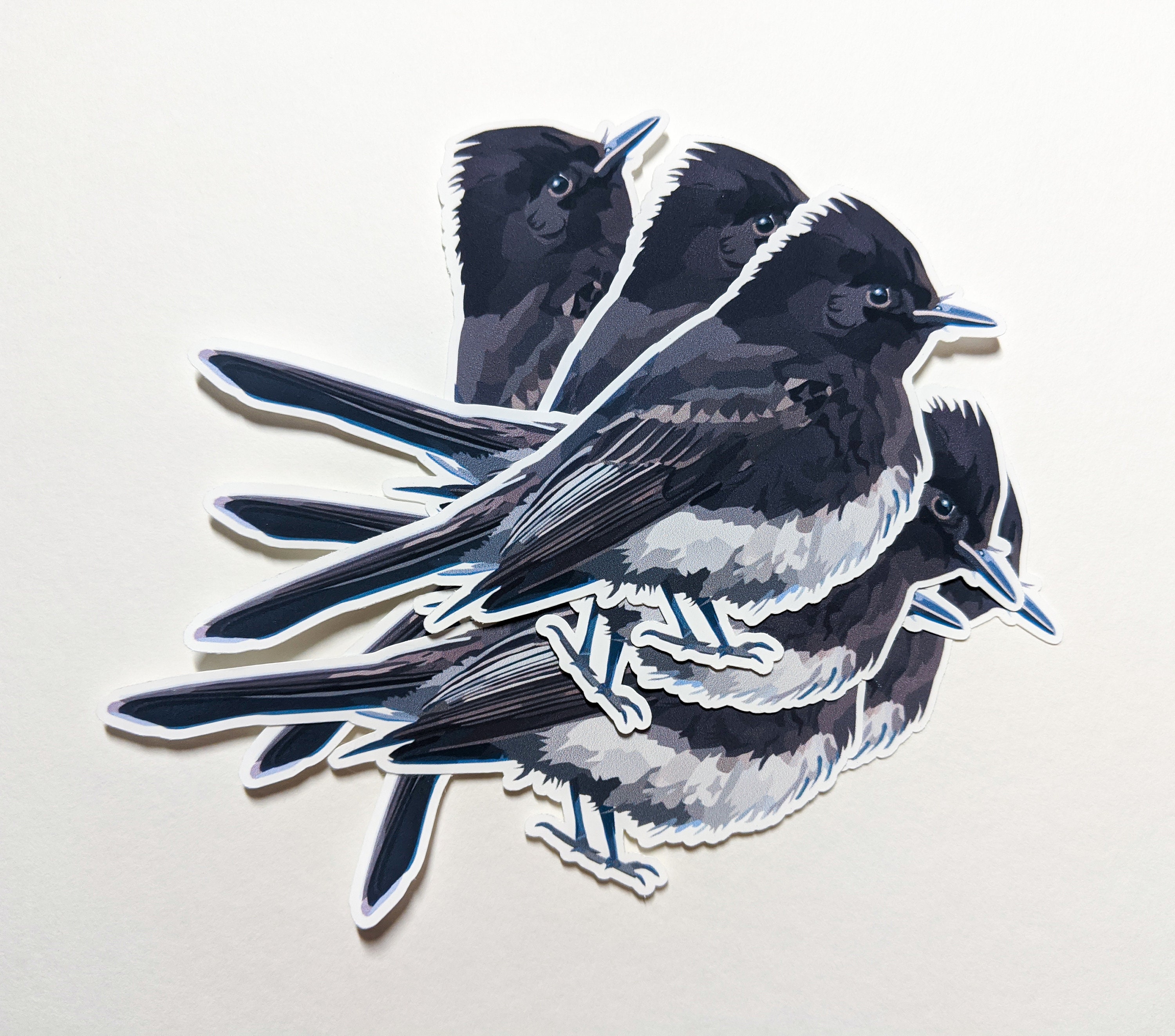 Black Phoebe Stickers Flycatcher Stickers Black Phoebe Bird | Etsy