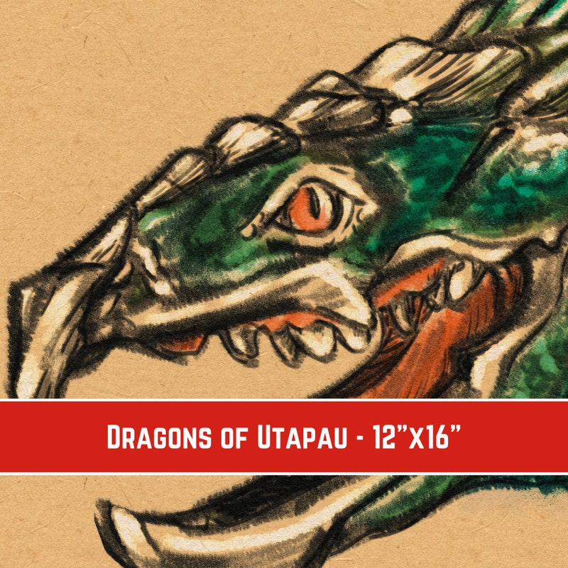 Naturalist Drawing - Etsy