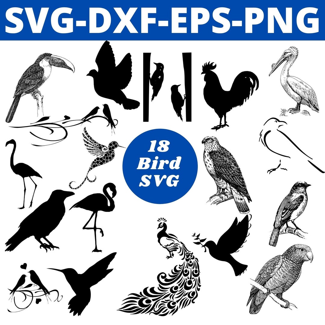 18 Bird Svg Dxf Eps Png Files Eagle Pelican Flamingo Hummingbird ...