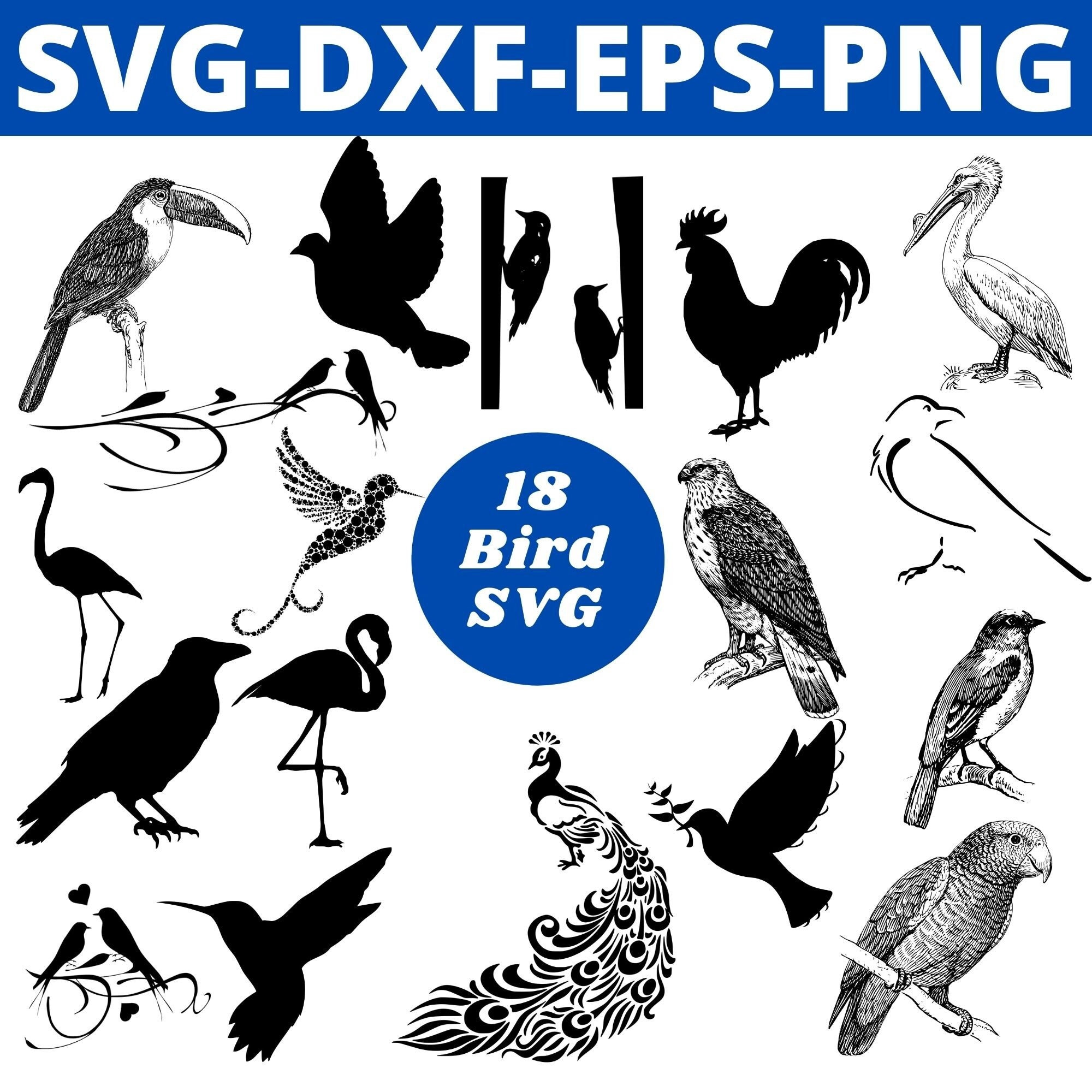 18 Bird Svg Dxf Eps Png Files Eagle Pelican Flamingo Hummingbird ...