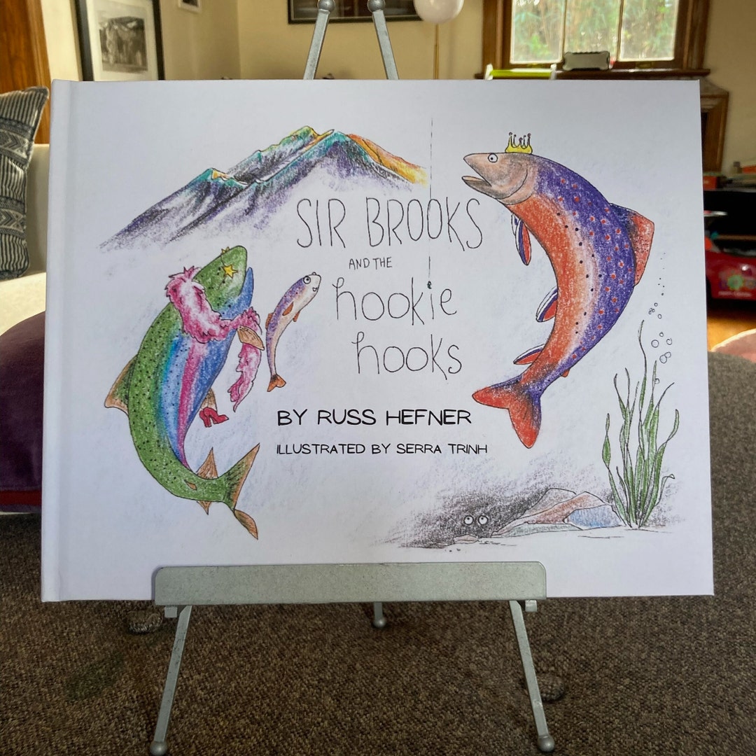 Sir Brooks and the Hookie Hooks (children's Book) - Etsy