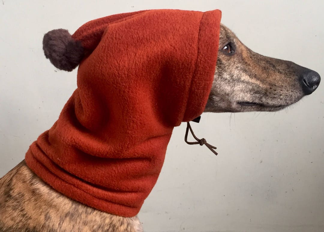 Whippet-pompomhoed / hondenhaarband - Etsy België