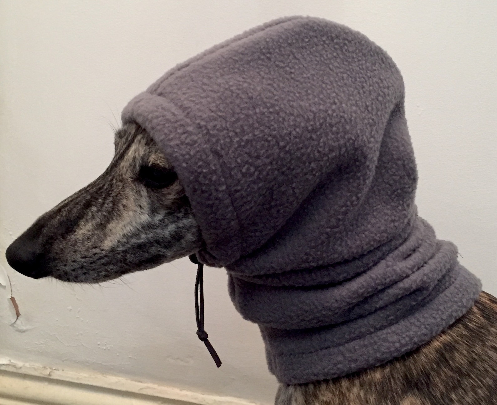 Whippet Polar Fleece Hat/ Dog Snood - Etsy