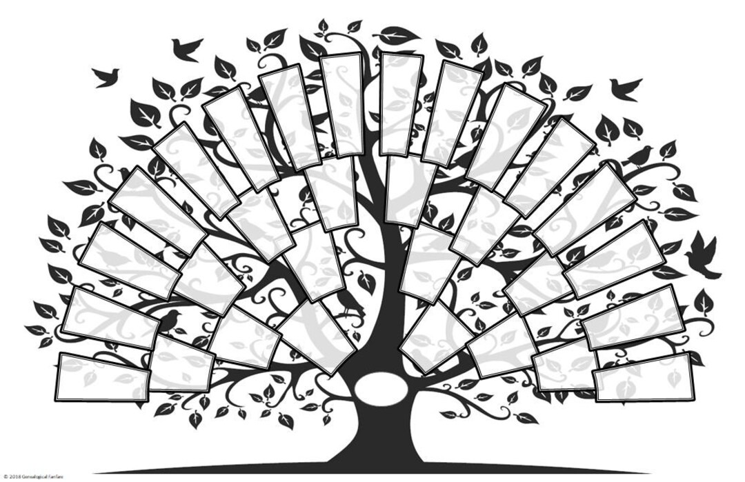 Family Tree - 5 Generations (3rd Great Grandparents) - Etsy