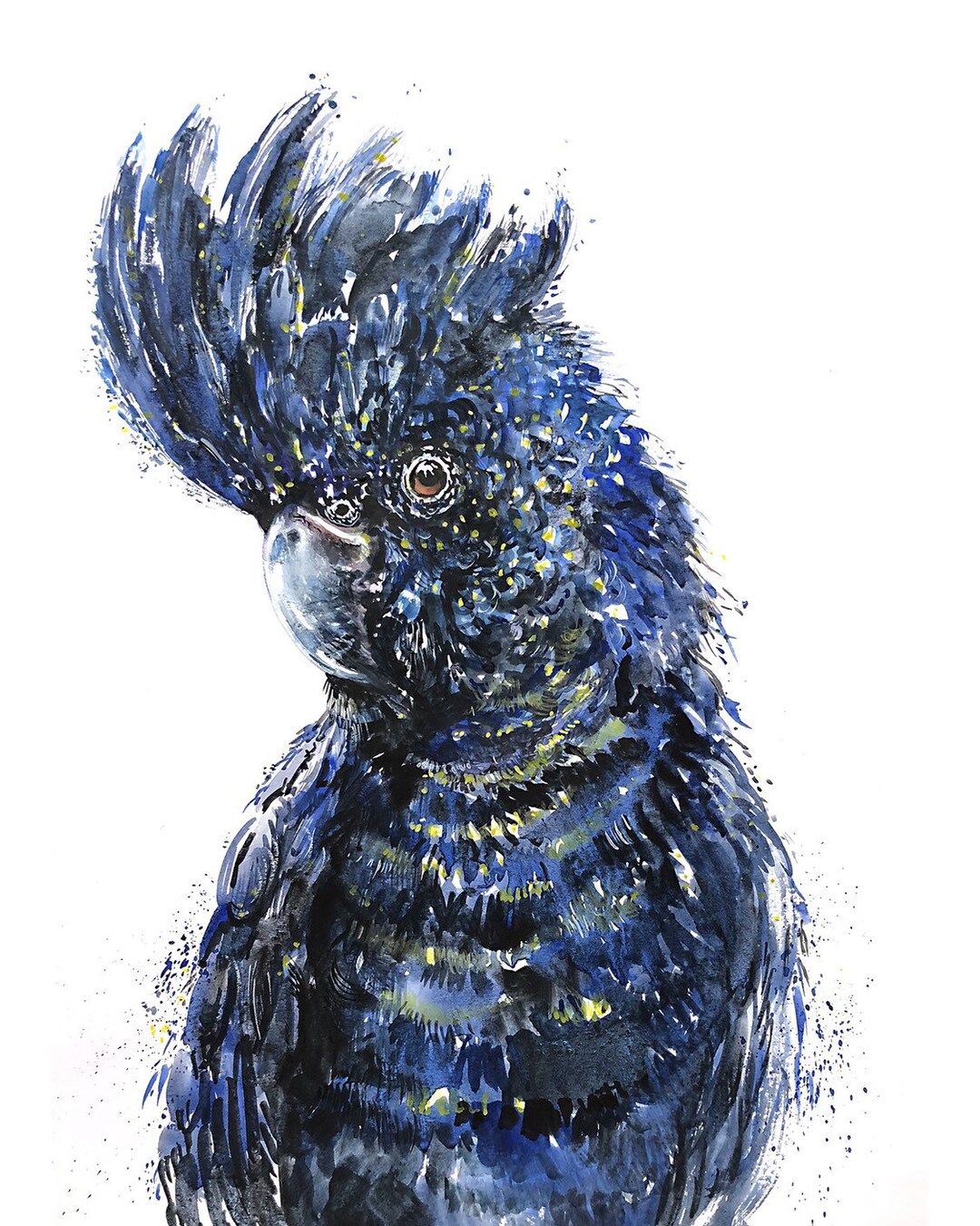 Watercolour Art Print Watercolor Painting Black Cockatoo Art Australian ...