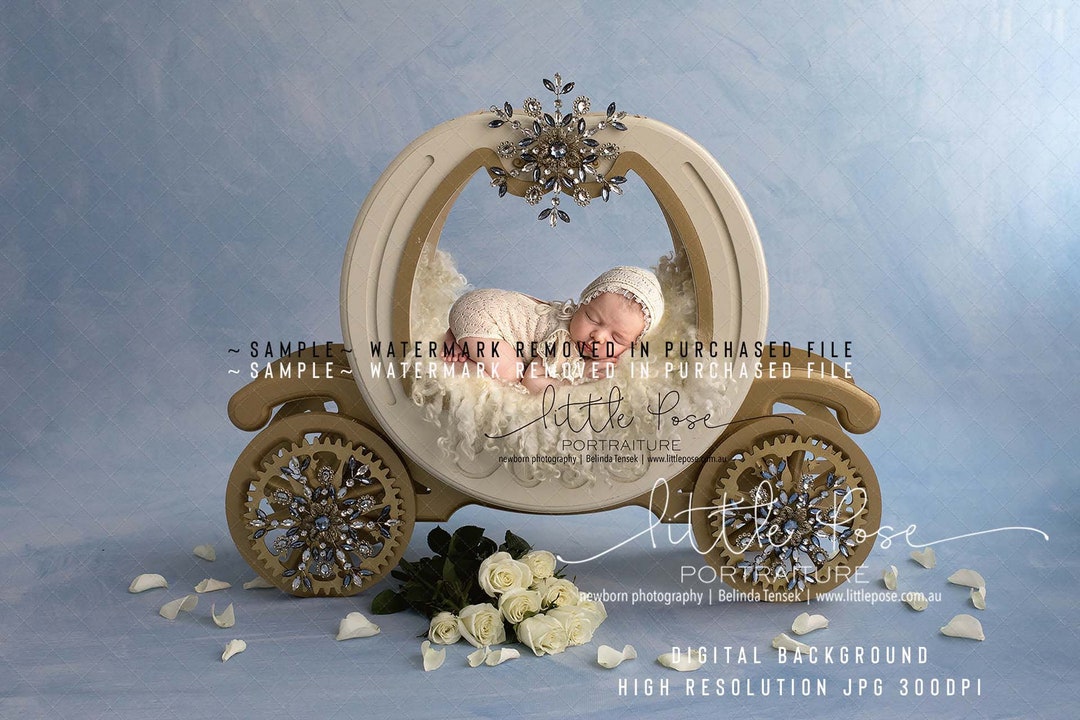 Newborn Photography Digital Backdrop, Elsa Carriage (JPG File) - Etsy